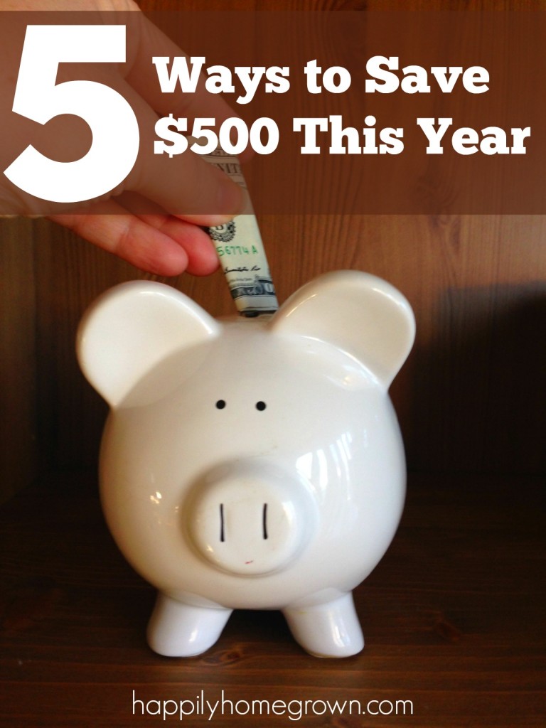 5 Ways to Save $500 This Year - Happily Homegrown