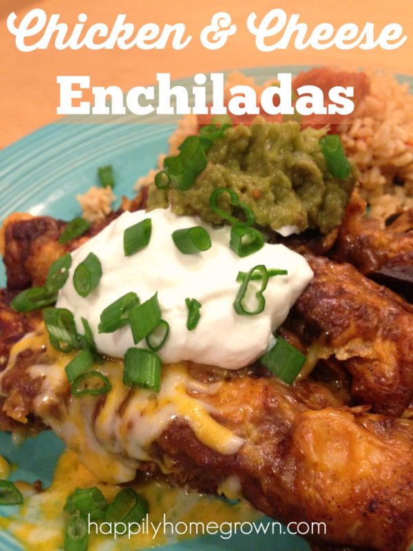 Chicken & Cheese Enchiladas - Happily Homegrown