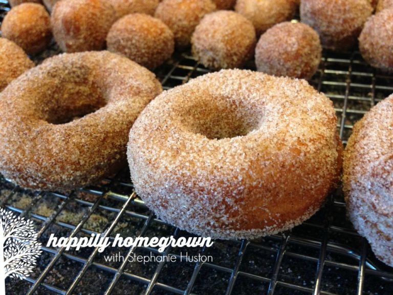 Homemade Cake Doughnuts - Happily Homegrown