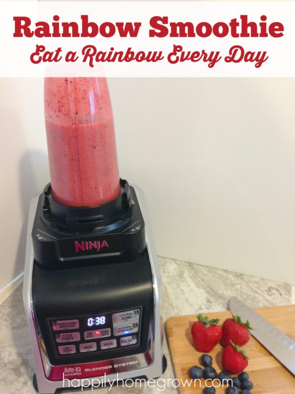 Rainbow Smoothie: Eat A Rainbow Every Day! - Happily Homegrown