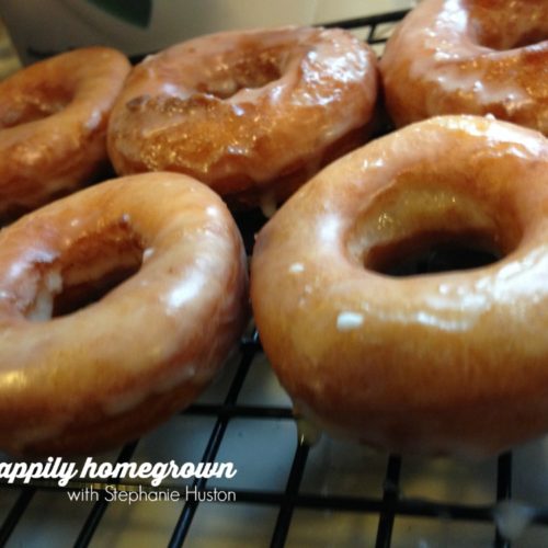 Homemade Cake Doughnuts - Happily Homegrown