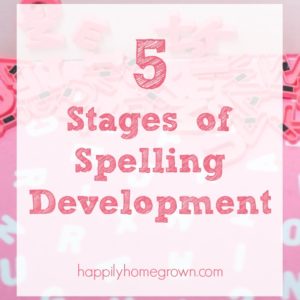 Teaching Developmental Spelling - Happily Homegrown