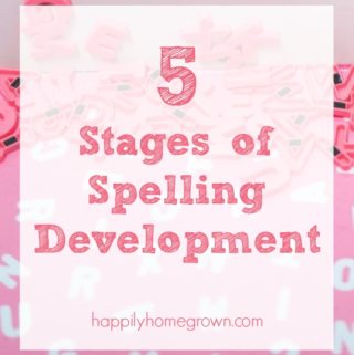 Teaching Developmental Spelling - Happily Homegrown