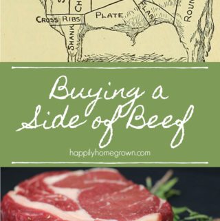 What do you get from a side of beef? | Happily Homegrown