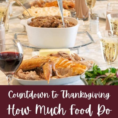 Thanksgiving 101: How Much Food Should You Make - Happily Homegrown