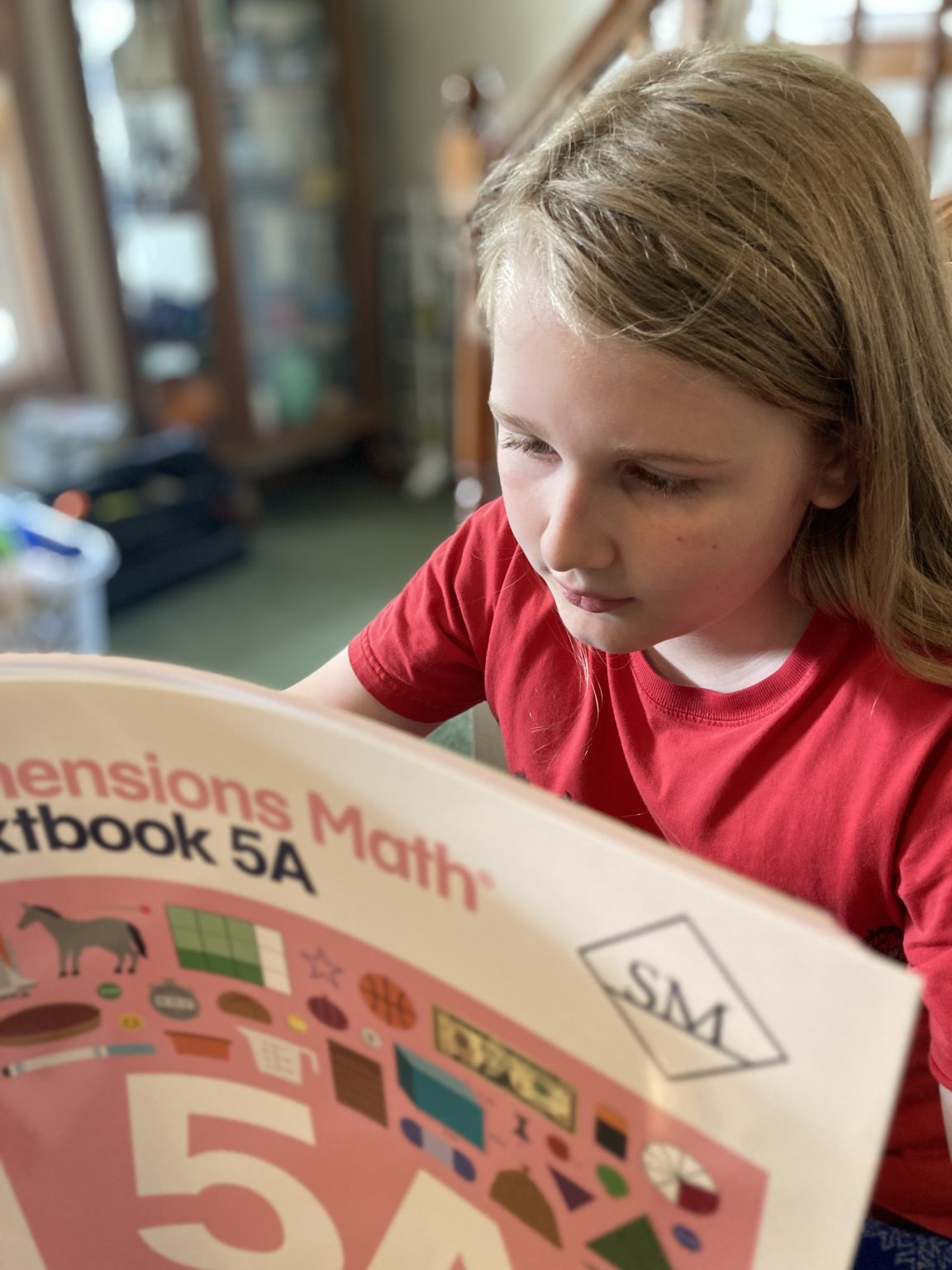 25 Years of Singapore Math - Happily Homegrown