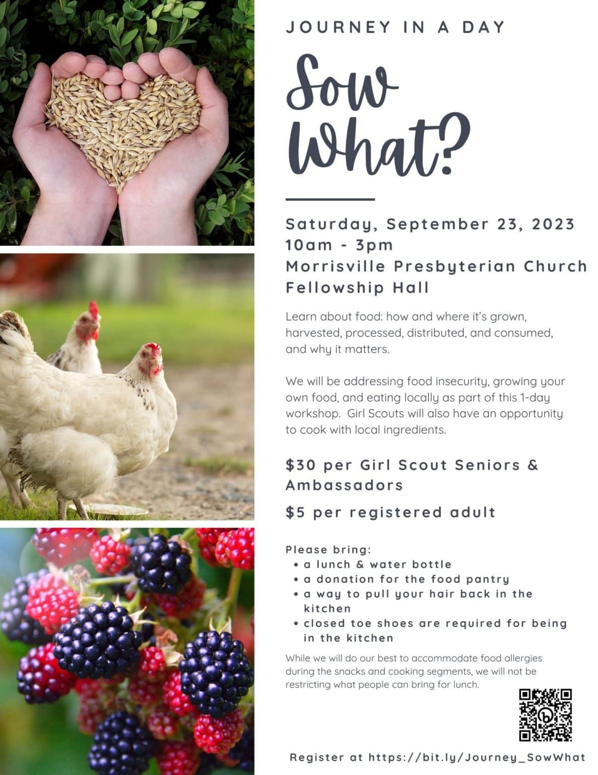 Journey in a Day: Sow What? - Happily Homegrown