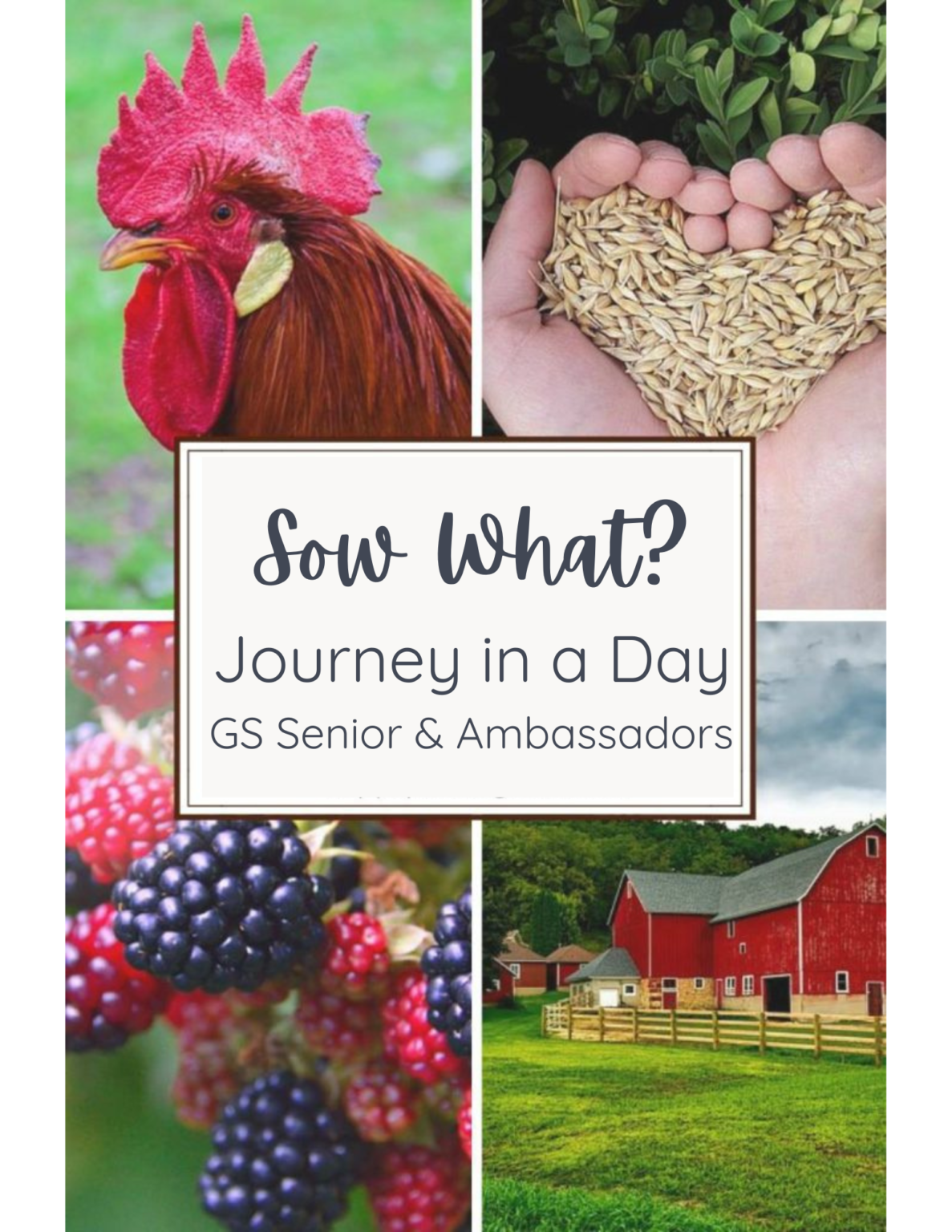 Journey in a Day: Sow What? - Happily Homegrown