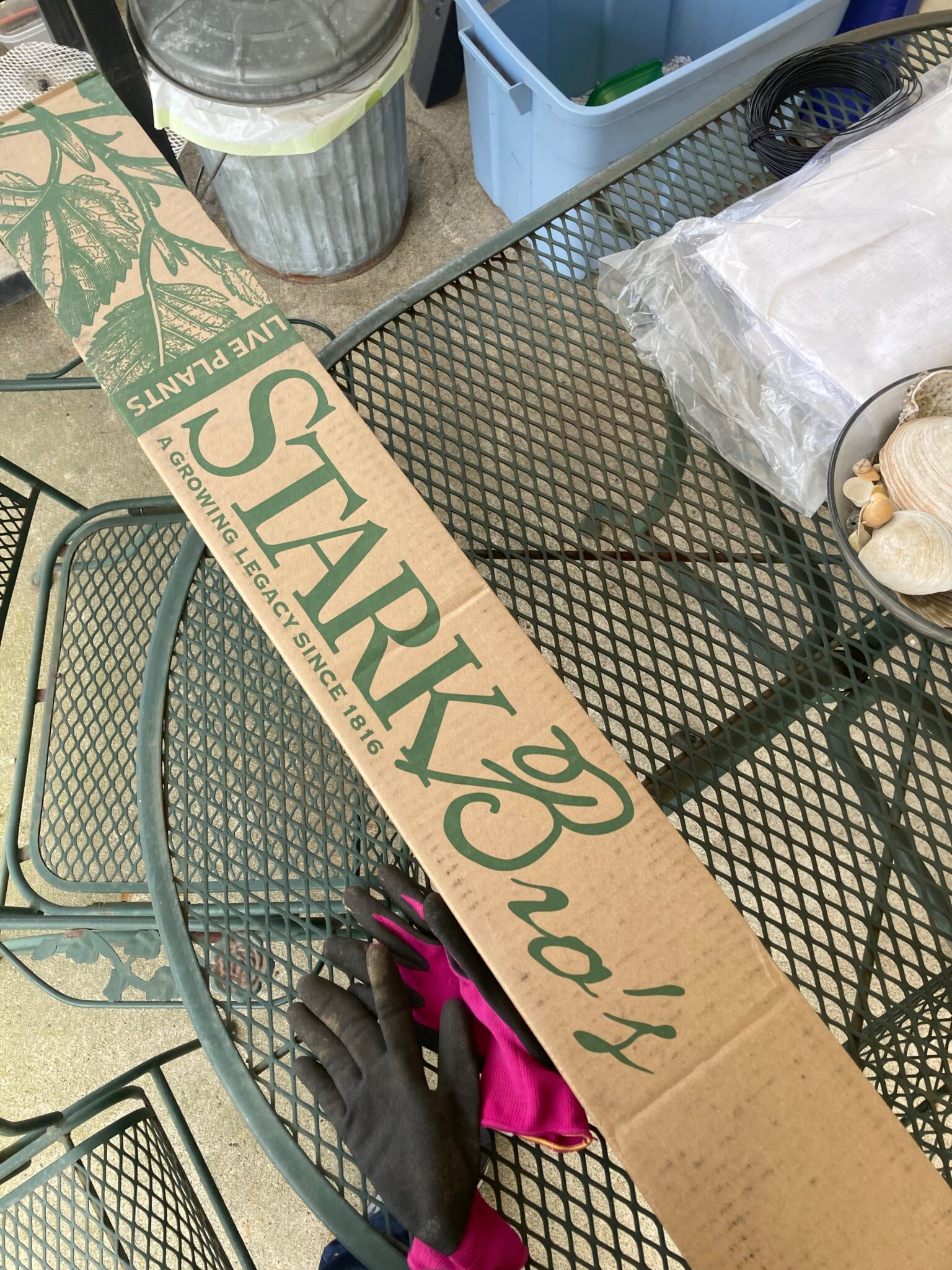 Planting a Bare-Root Tree - Happily Homegrown