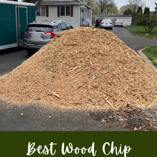 Planning Your Orchard for 5 Months of Fruit Harvests - Happily Homegrown